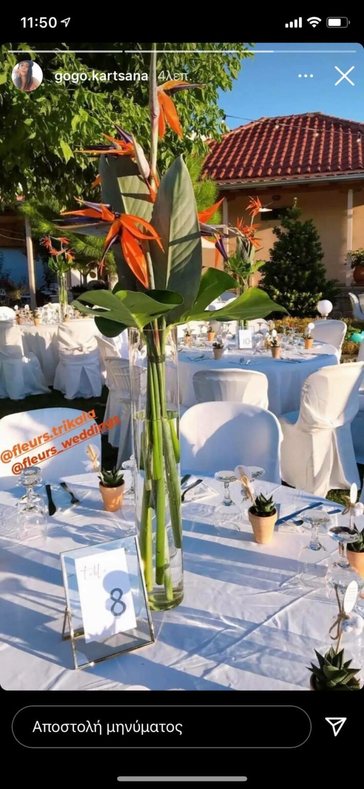 Η ηθοποιός Γωγώ Καρτσανά βάφτισε τον τεσσάρων μηνών γιο της - Φωτογραφίες