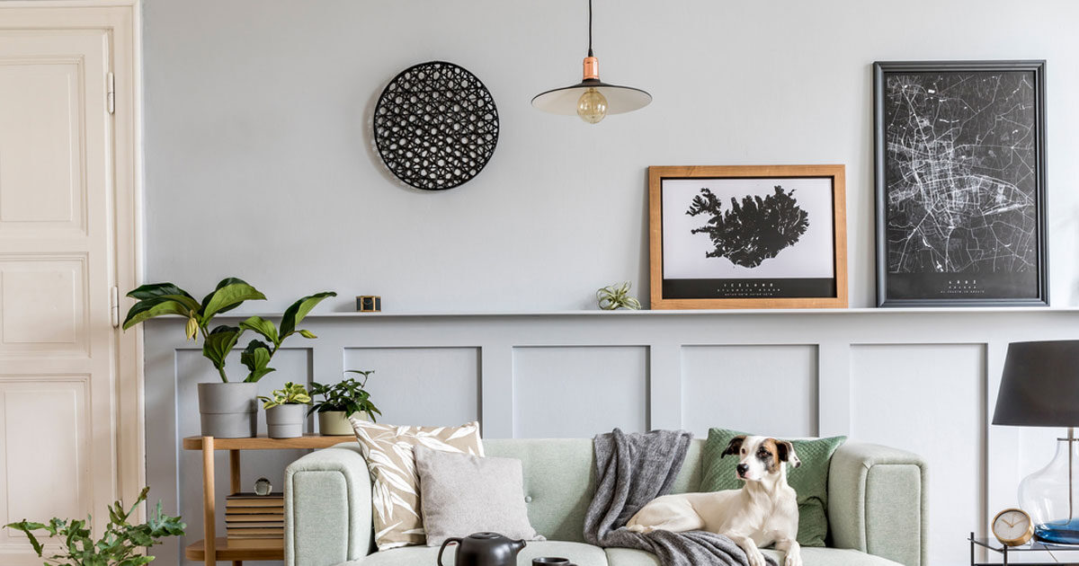 Pet Deco: Πώς να φτιάξεις ένα σπίτι όμορφο και άνετο για εσένα και το ...